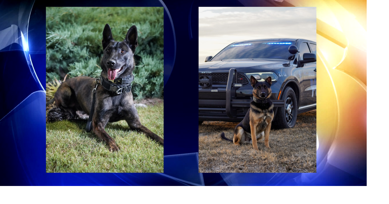 Owasso Police: K9 Ranger and K9 Duke fully funded for bulletproof vests ...