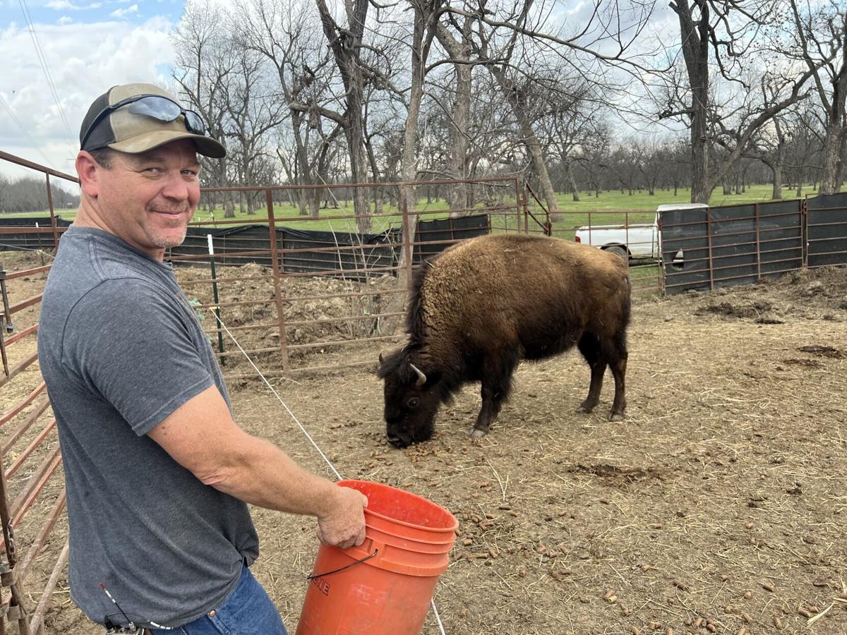 Owner reacts to arrests made in connection to killing of 2 bison, 1 ...