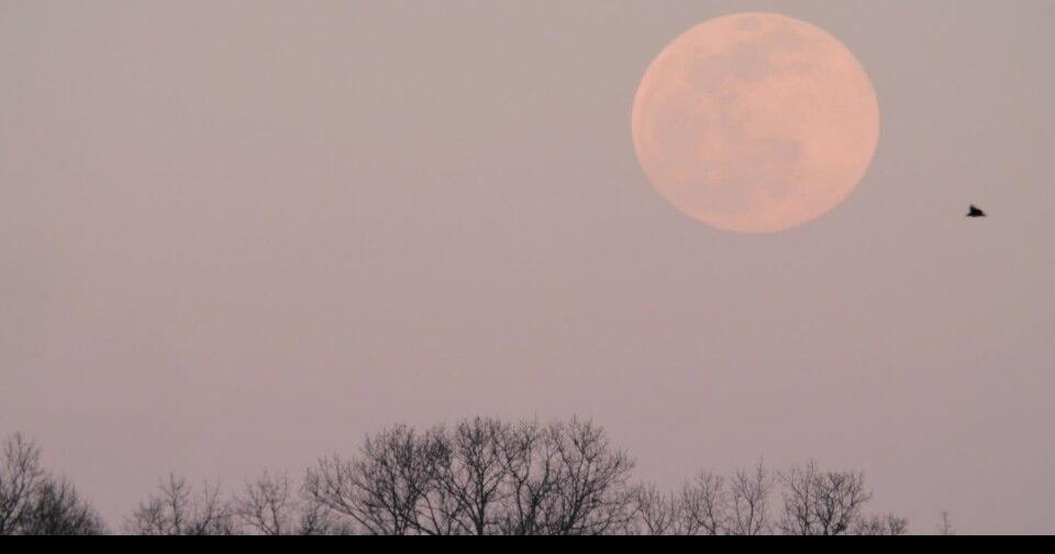 Pink supermoon to light up sky | Trending | fox23.com