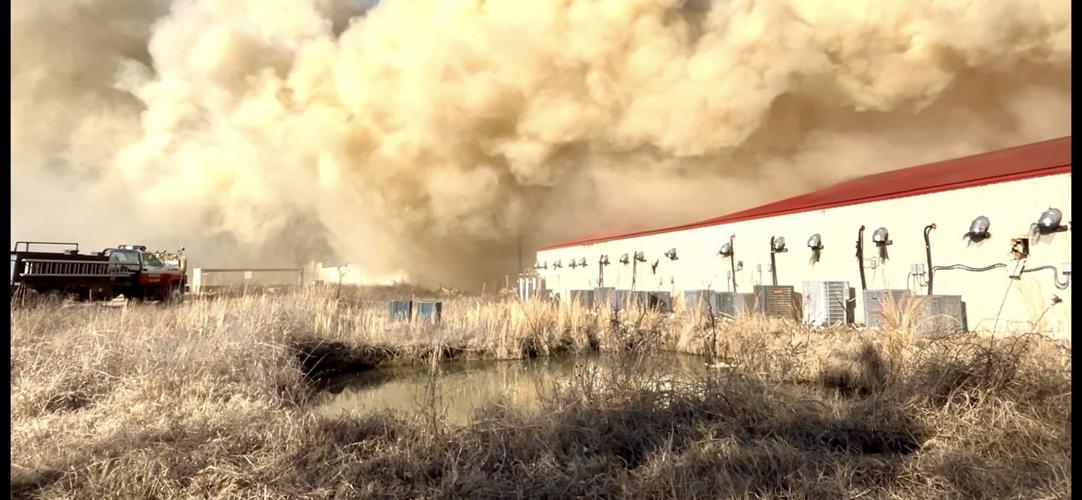OBN seizes over 16K plants, 442 pounds of marijuana following illegal ...