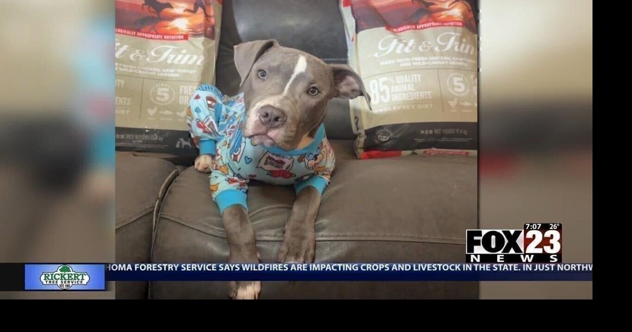 Foster mom continues rallying for justice after hearing rescheduled in ...