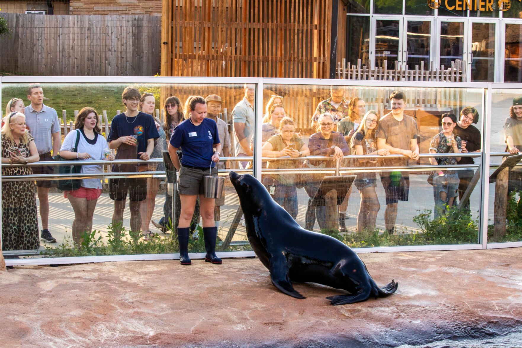 Tickets on sale for April Zoo Nights at Tulsa Zoo | News | fox23.com