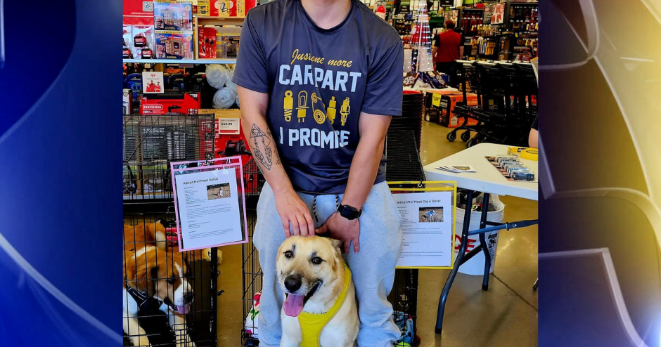 Man reunited with lost dog at Jenks Animal Welfare event | News | fox23.com