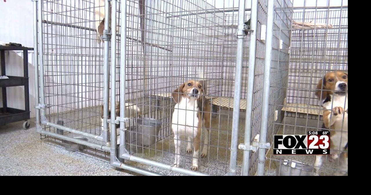 Local animal testing lab being turned into an animal rehabilitation ...