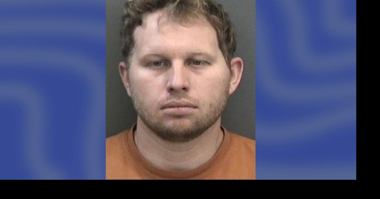 Florida man faces 100 counts of child pornography possession, police ...