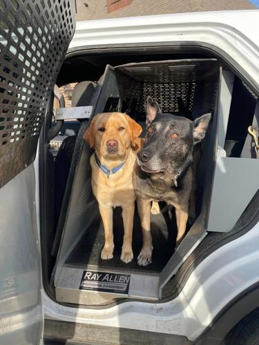 Photos: TPD mourns the loss of K9 officer Riggs | | fox23.com