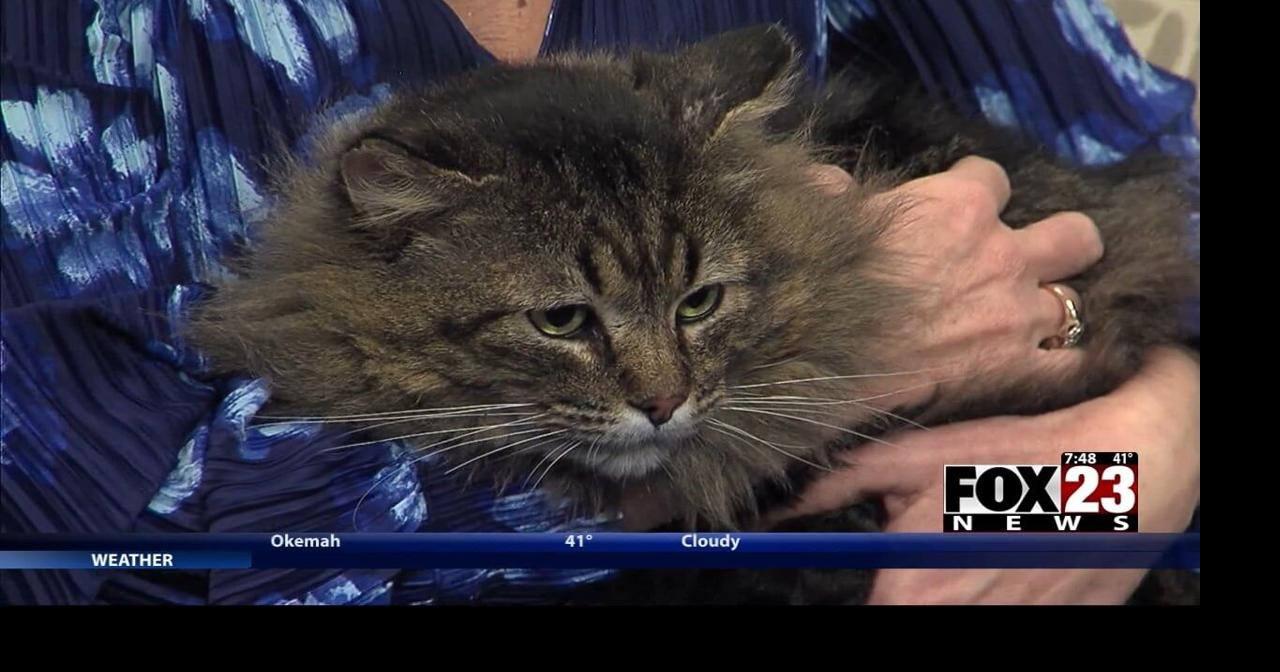 Adopt a Survivor: Meet Danny | News | fox23.com