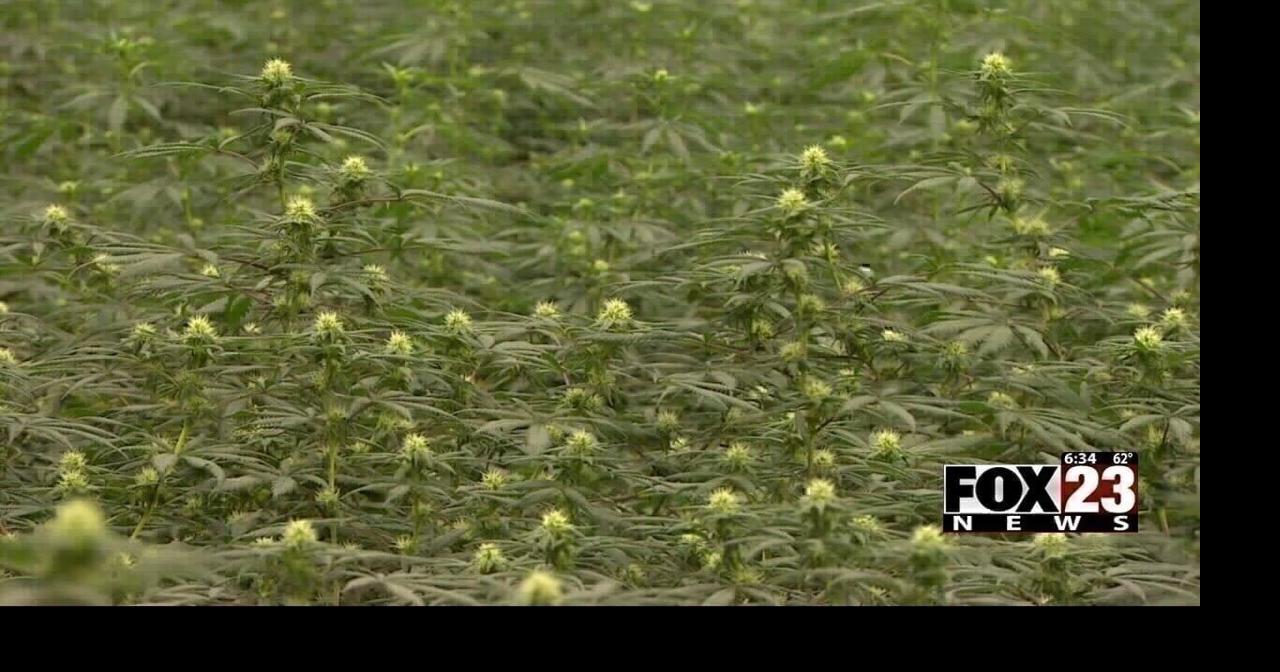 Video: In Depth: Legislation to reopen federal government comes with ...