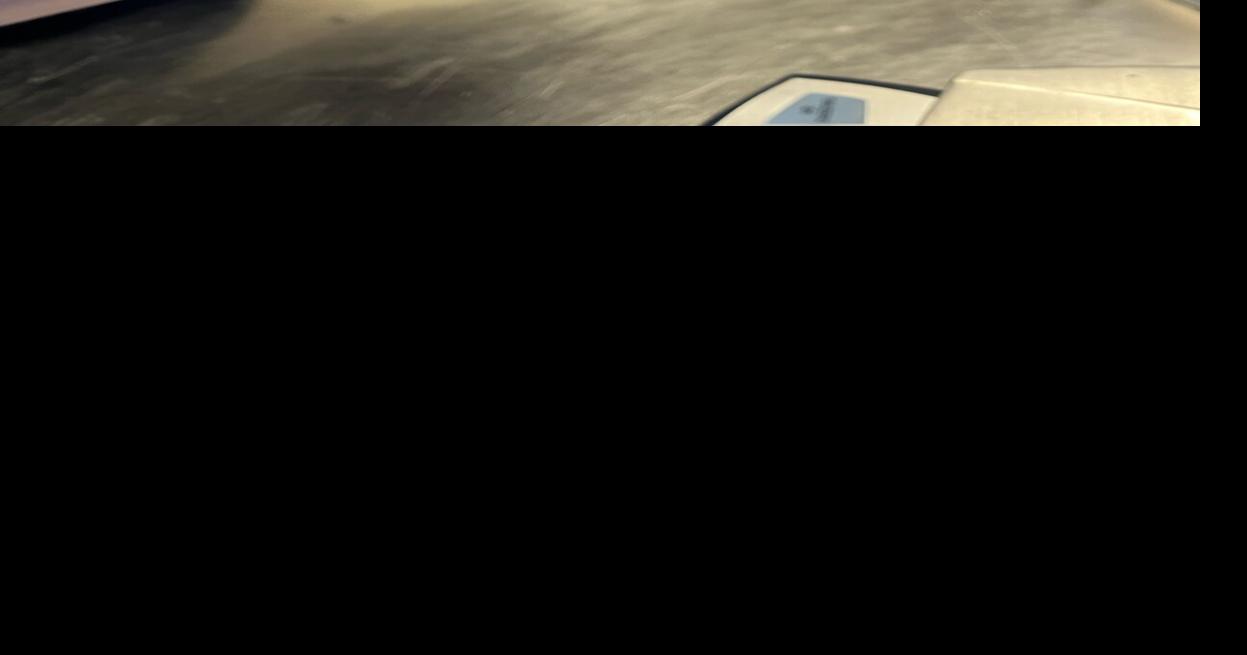 Critically endangered African penguin chick hatches at Tulsa Zoo ...