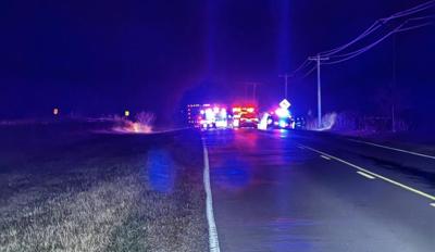 cattle truck accident mokau