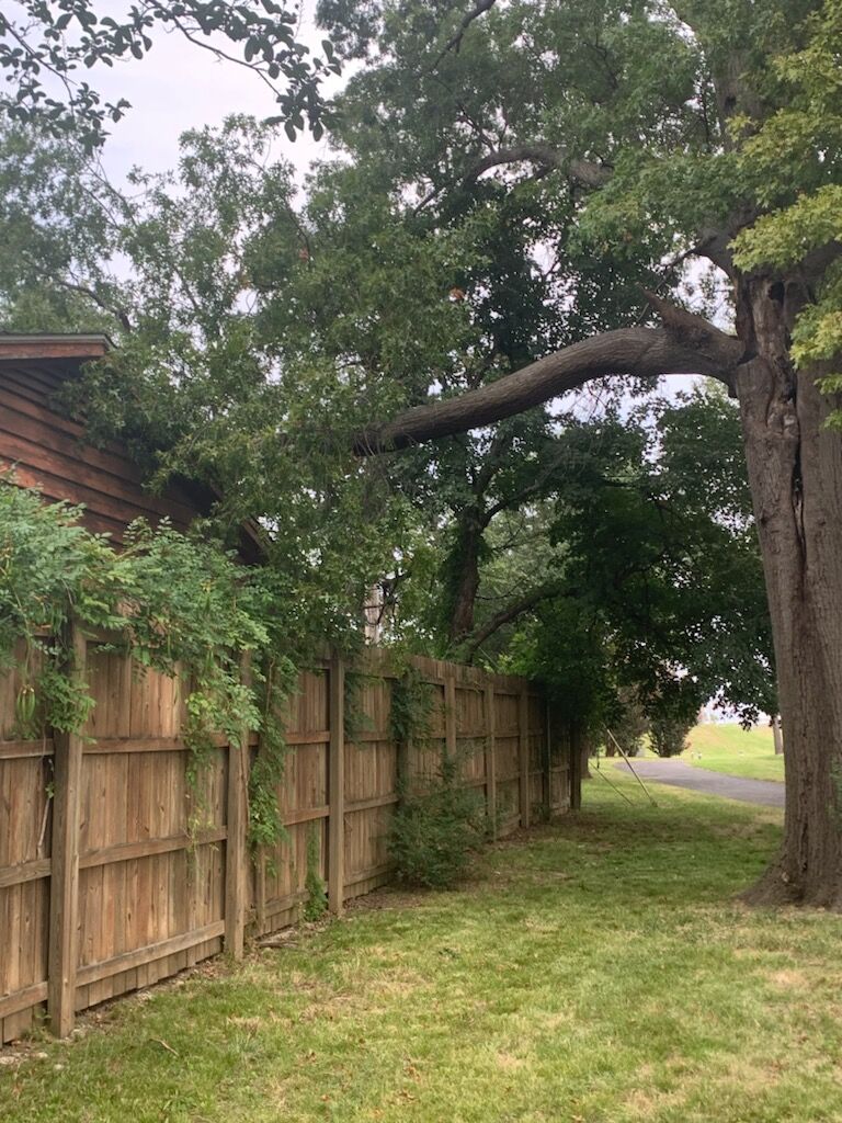 FOX23 Investigates: Tulsa man says city tree branch fell on his house ...