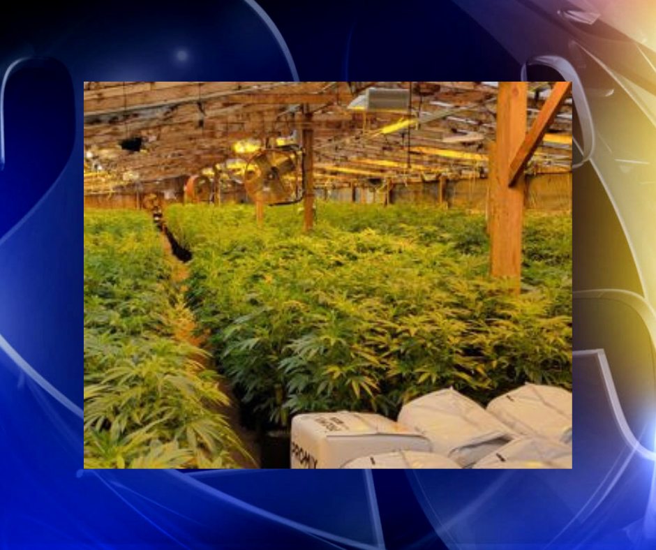 OBN agents seize more than 250 pounds of marijuana in Bristow | News ...