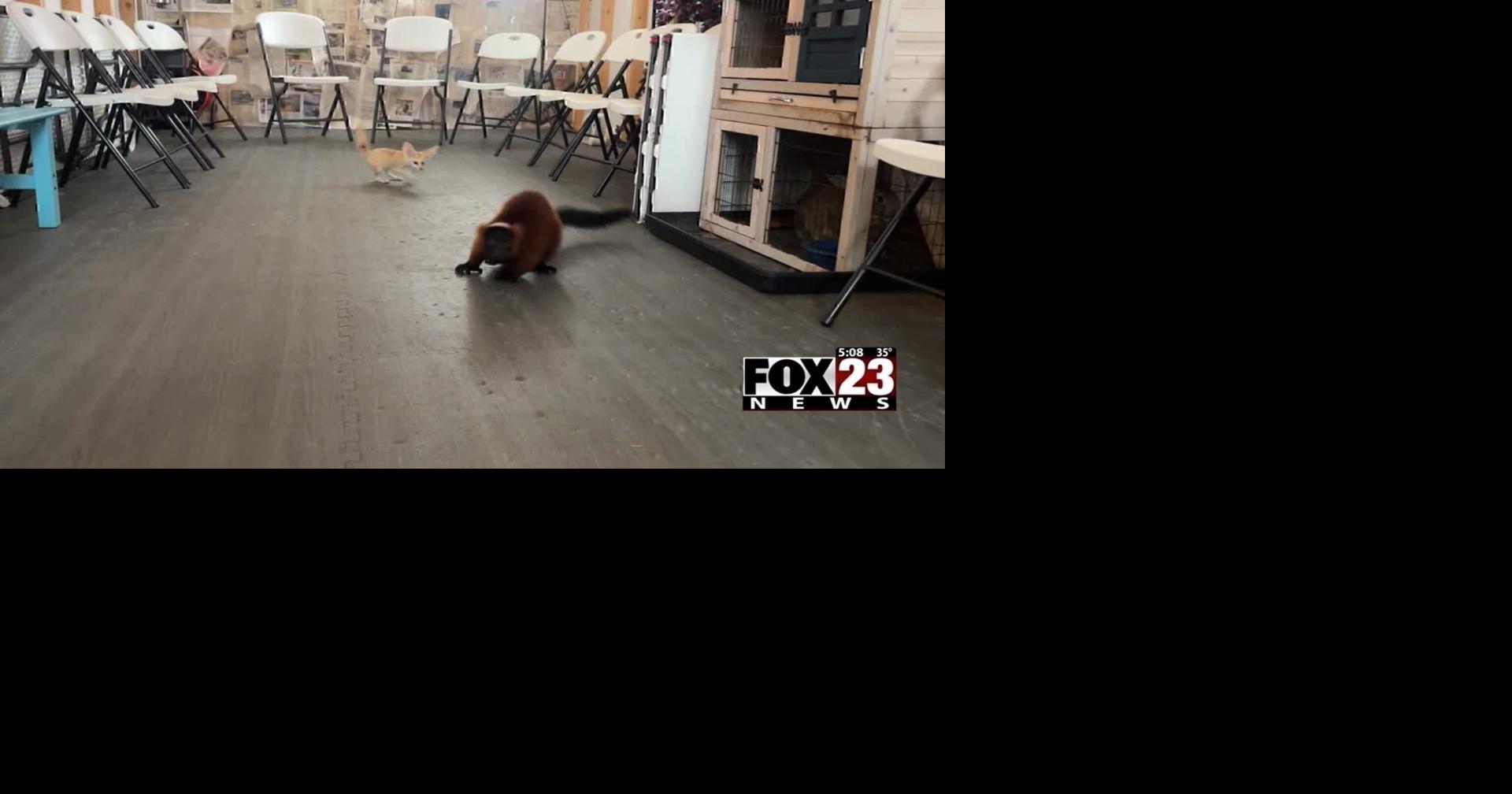 Owasso farm seeks zoning variance for petting zoo, public hearing ...