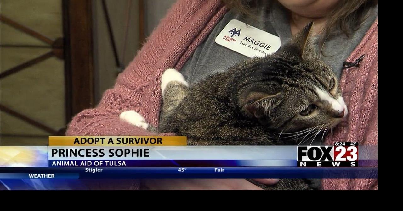 Adopt a Survivor: Meet Princess Sophie | News | fox23.com