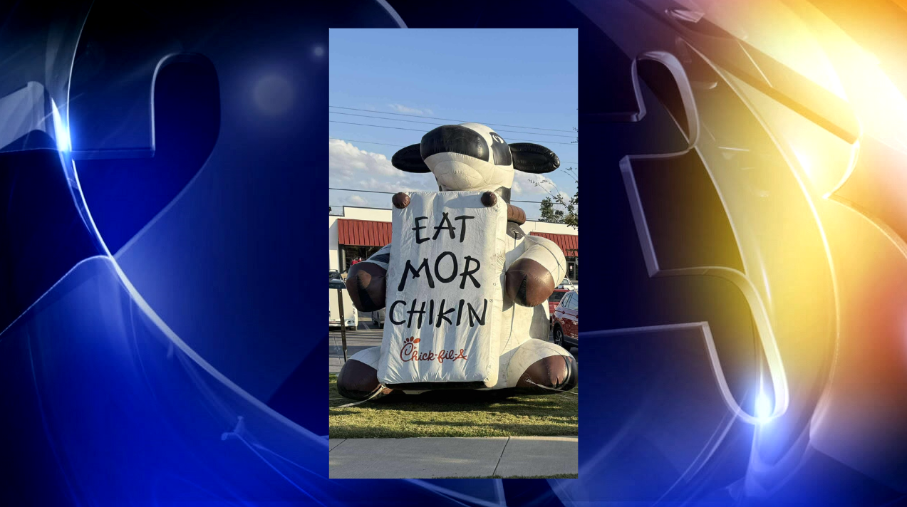 Chick-fil-A franchise owner says stolen inflatable cow has been ...