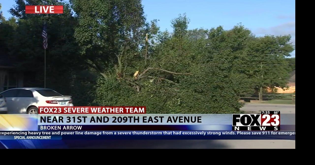 Video: Large trees topple after line of storms pass through Broken ...