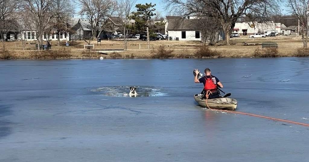 Owasso Fire crews rescue dog from icy pond | News | fox23.com