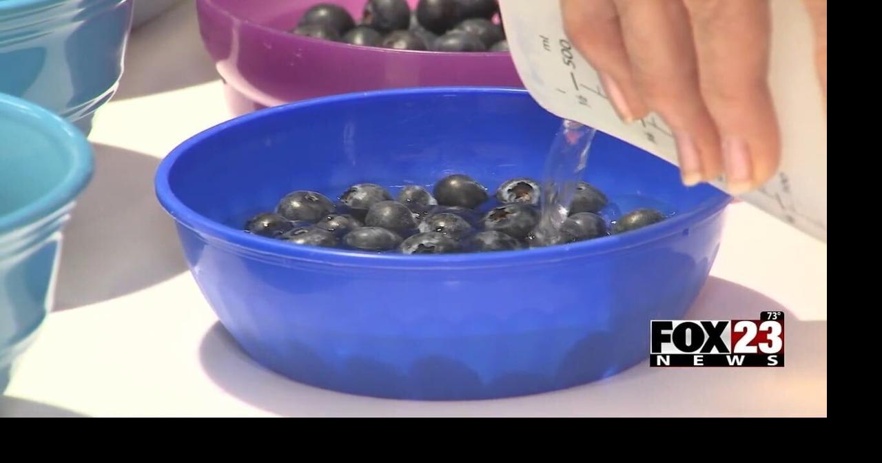 FOX23 Investigates: Bugs in berries: Soaking method can draw them out ...