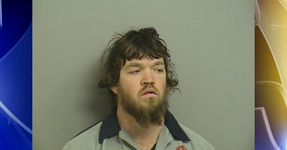 TCSO deputies arrest man after finding 1 dog dead and 3 without ...