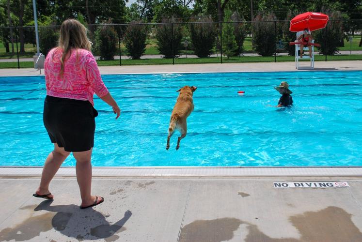 Photos: K9 Splash Party at Tulsa's McClure Park Pool | | fox23.com