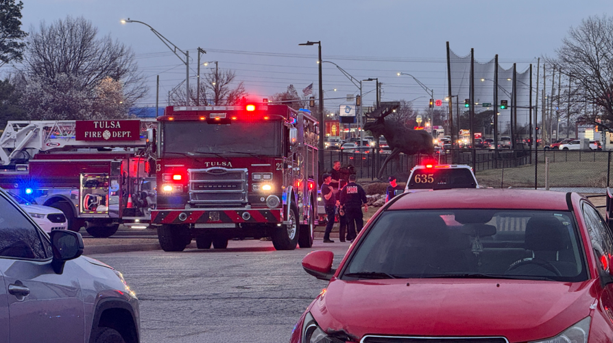 Man taken to hospital after being pulled from pond at LaFortune Park in ...