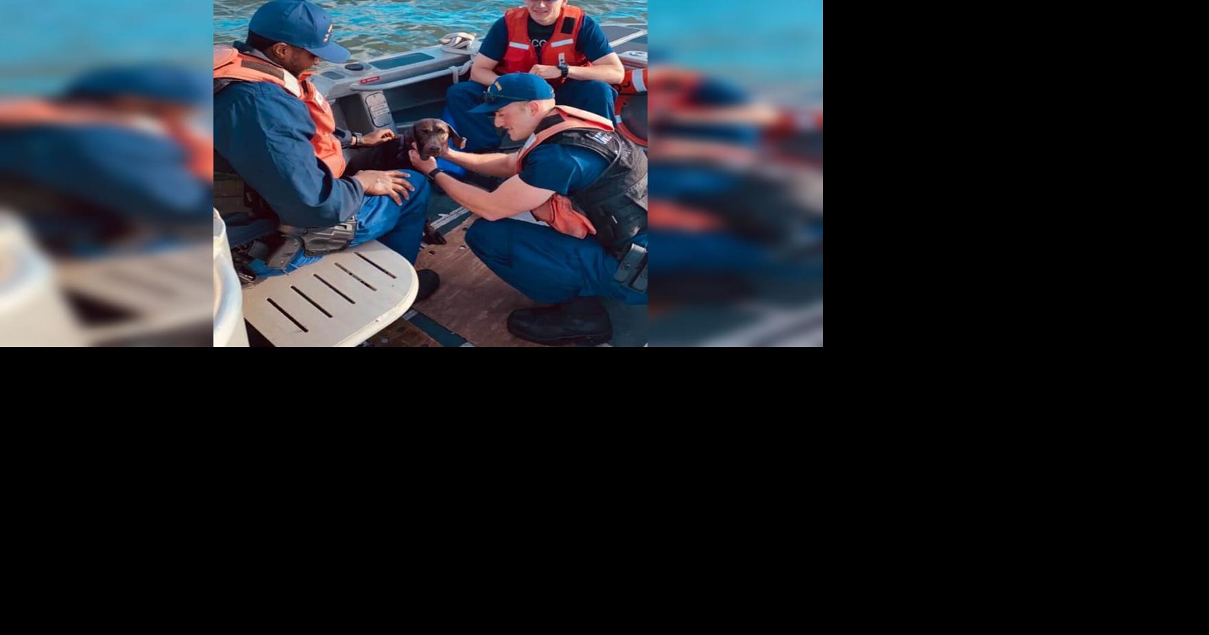 Video shows US Coast Guard rescue dog from water off North Carolina ...