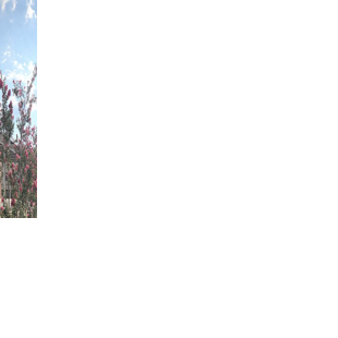 Tulsa Day Center's new program questions mental illness in homelessness ...