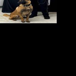 Stillwater PD announces new K-9 officer | Local & State | fox23.com