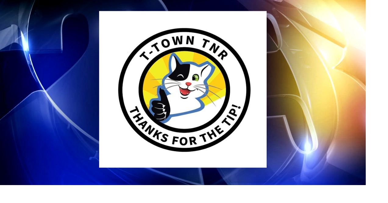 T-Town TNR seeking volunteers for "Snip, Tip, Hooray" program | News ...