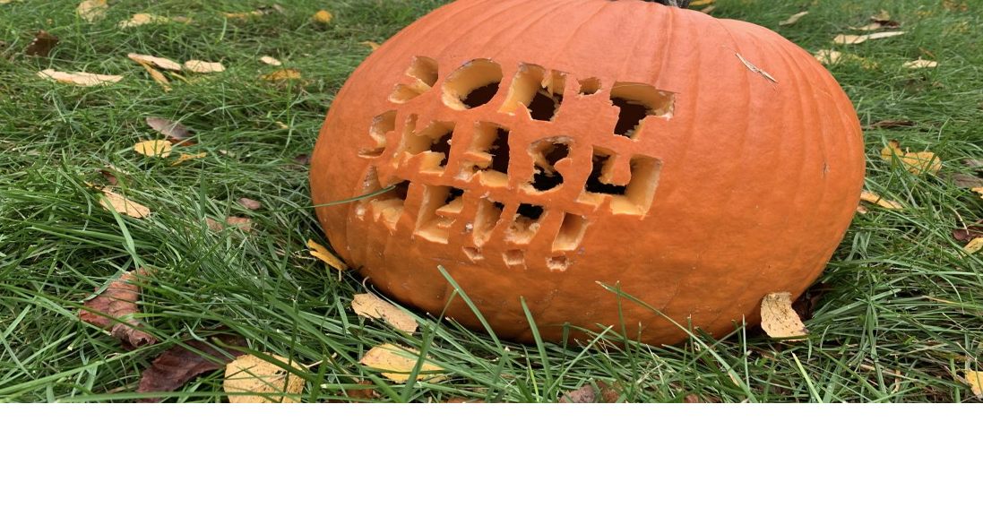 Recycle your pumpkins during the Fourth Annual Great Pumpkin Rescue ...