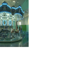 Oklahoma Aquarium staff help design carousel in Jenks | News | fox23.com