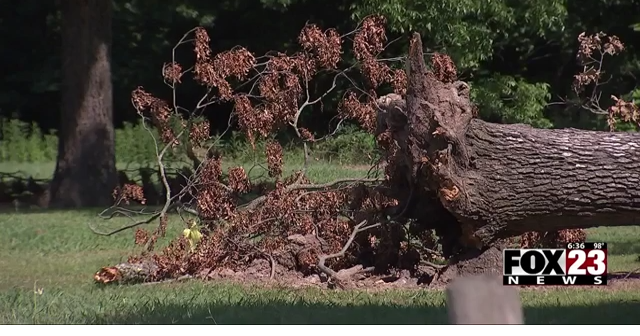 Tulsa parks took $2.4 million in damage from June storm | News | fox23.com
