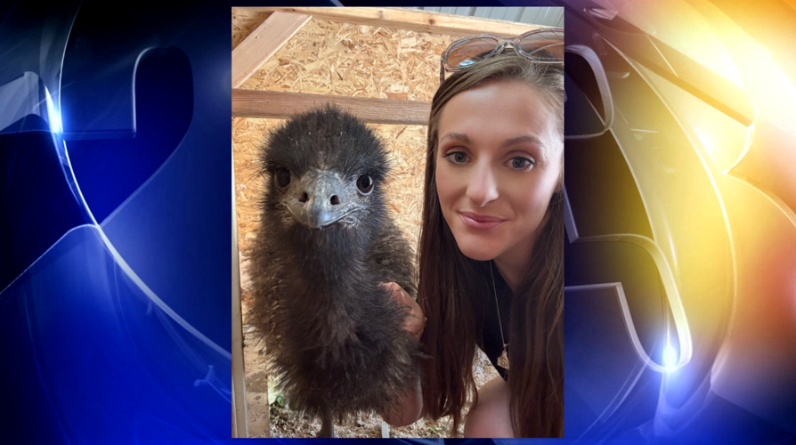 Brenda the emu | | fox23.com