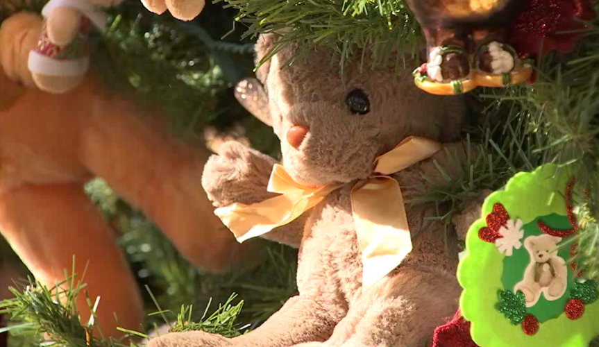 Photos: OU-Tulsa hosts annual Teddy Bear Drive | | fox23.com
