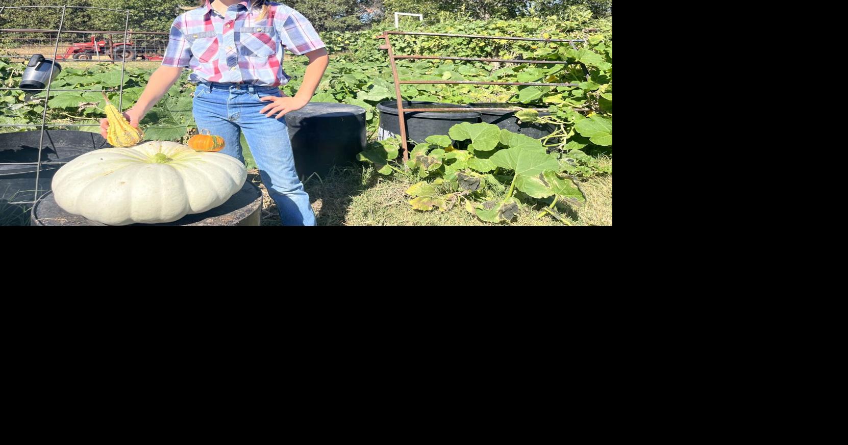 Osage County boy selling pumpkins to raise money for rodeo competition ...