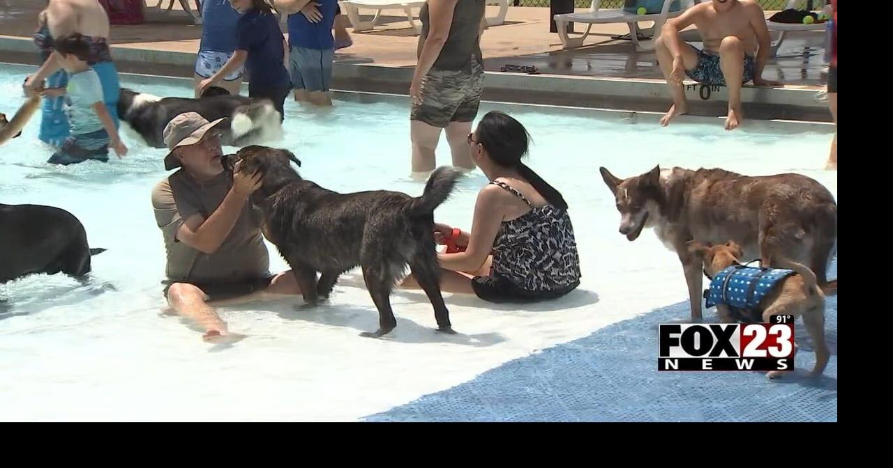 Dogs enjoy water during South County Recreation Center's Puppy Palooza ...