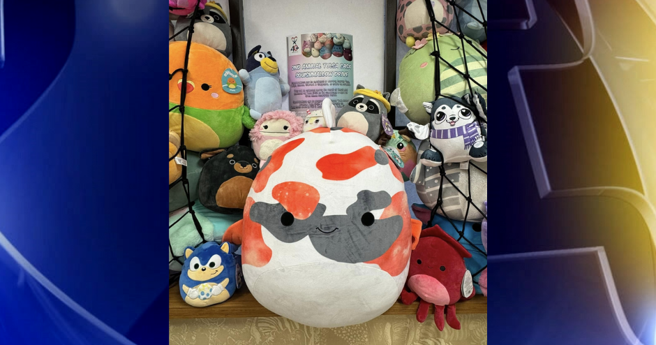 Tulsa CASA holds 2nd annual March-Mallow Madness Squishmallow Drive ...
