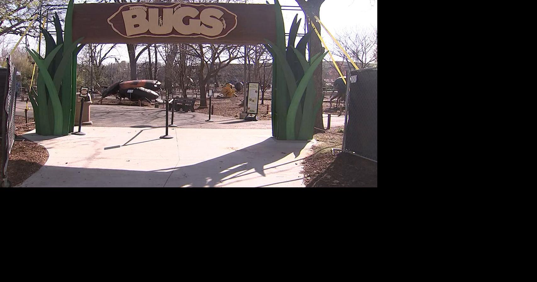 Photos: Temporary exhibit featuring giant animatronic bugs arrives at ...