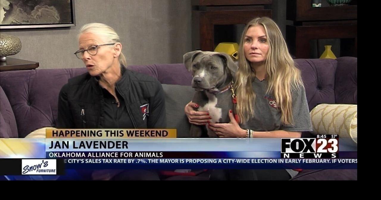 Video: Oklahoma Alliance for Animals and miracle dog Fern joins FOX23 ...