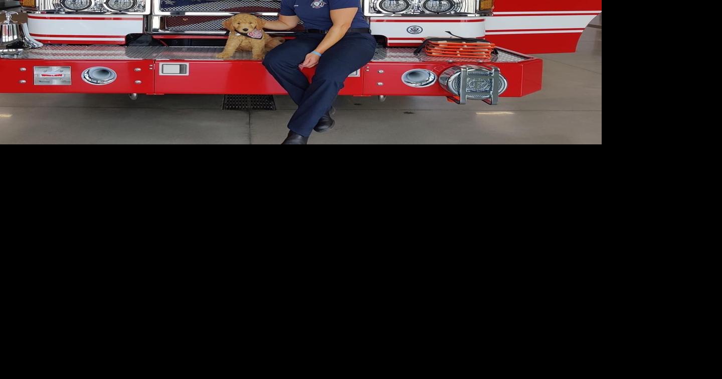 Owasso Fire Department introduces new therapy dog | Local & State ...