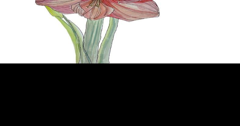 Photos: Laura Voth is the founder of Artists for Change and I Have A ...