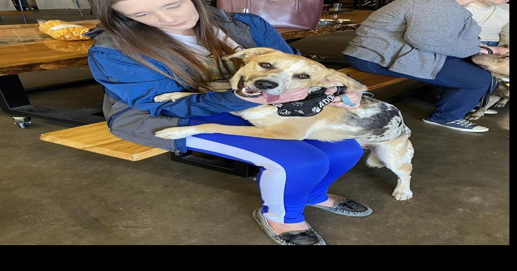 Ashley Corona | | fox23.com