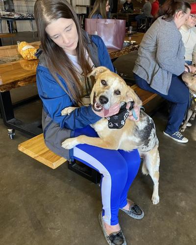 Ashley Corona | | fox23.com