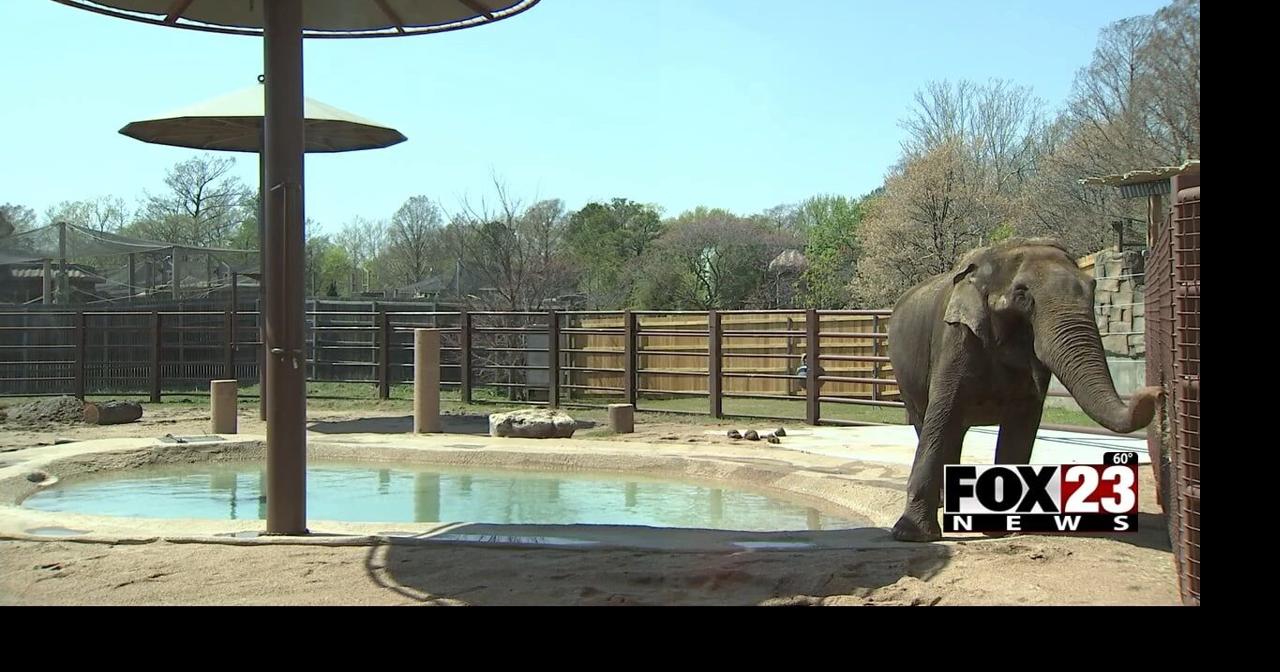 Mary K. and John T. Oxley Family Elephant Experience opens at Tulsa Zoo ...