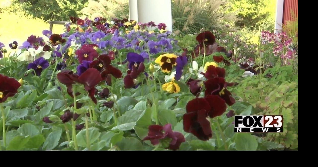 A New Leaf garden centers offer fall plants while providing jobs for ...