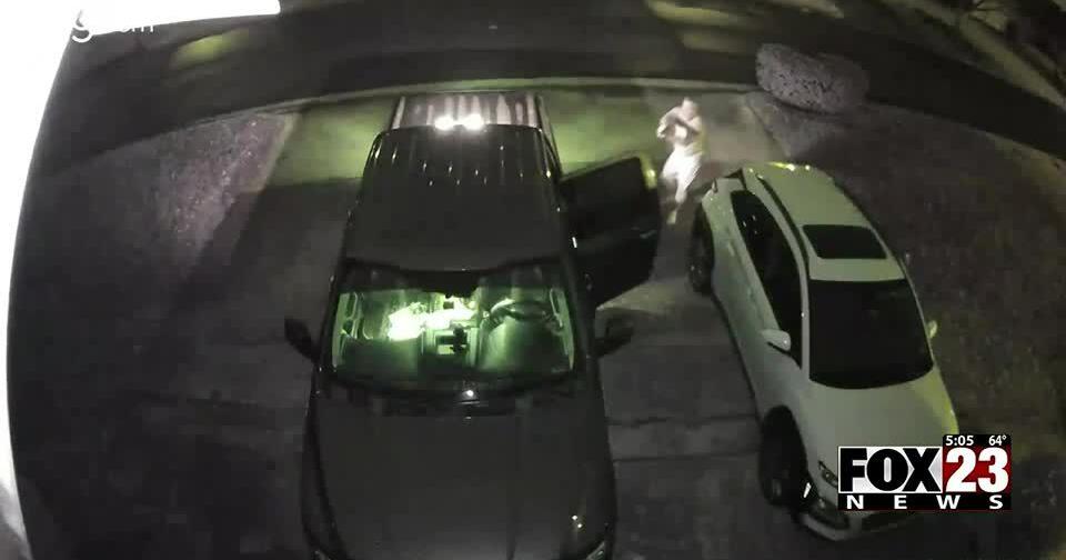 South Tulsa man wrestles gun away from thief in his driveway | News ...