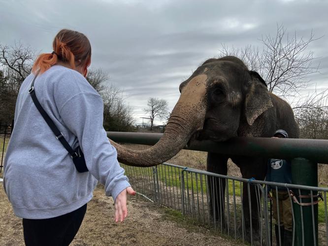 Photos: Endangered Ark Foundation's Elephant Sanctuary | | fox23.com