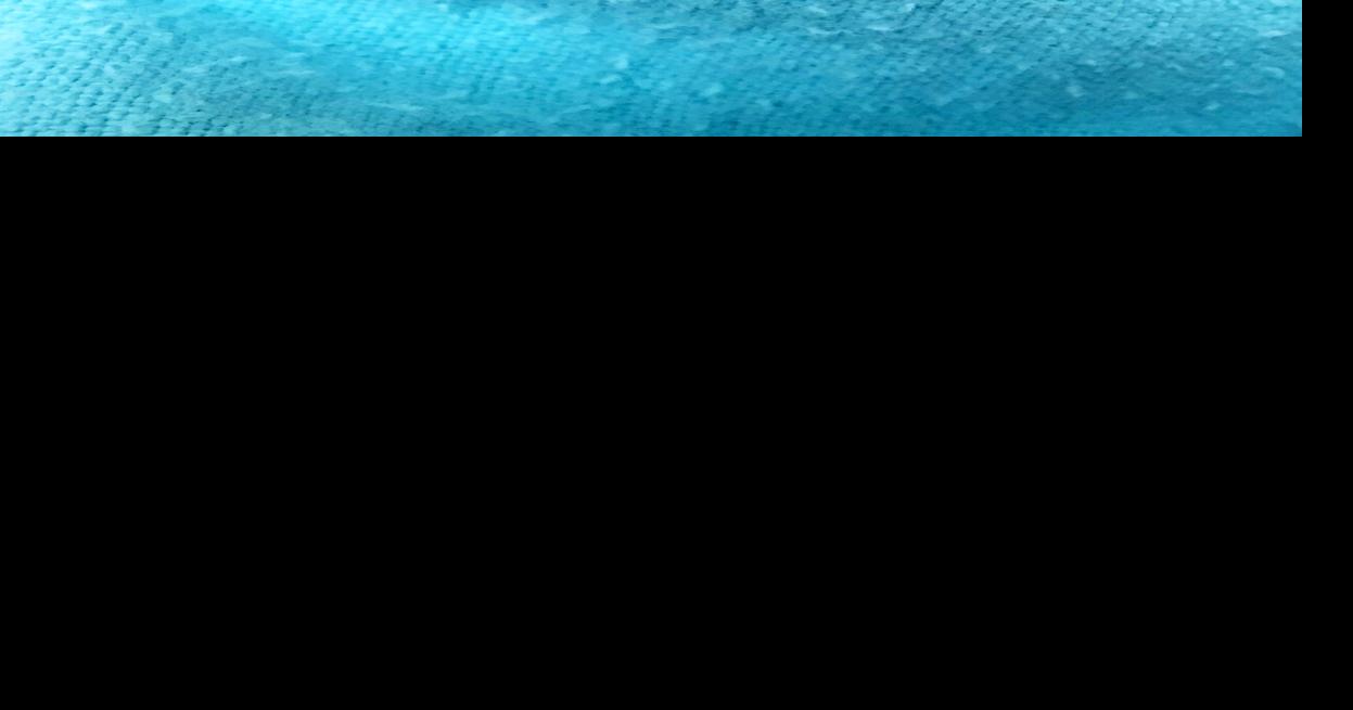 PHOTOS: Meet the baby African Spotted Genet born at the Memphis Zoo ...