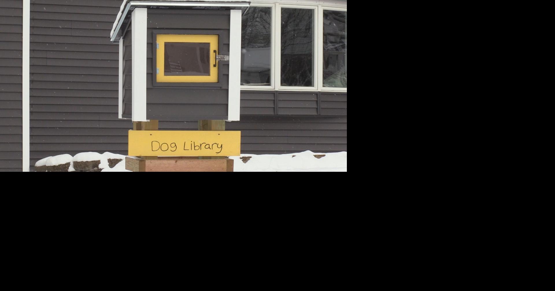 Local pet owner creates dog library | News | foxbangor.com