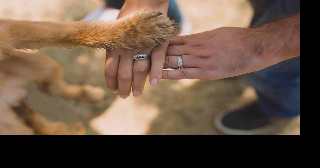 What do pet parents worry about the most? | National | foxbangor.com